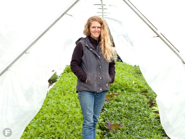 7 Reasons to Check Out Urban Roots Farm in Springfield