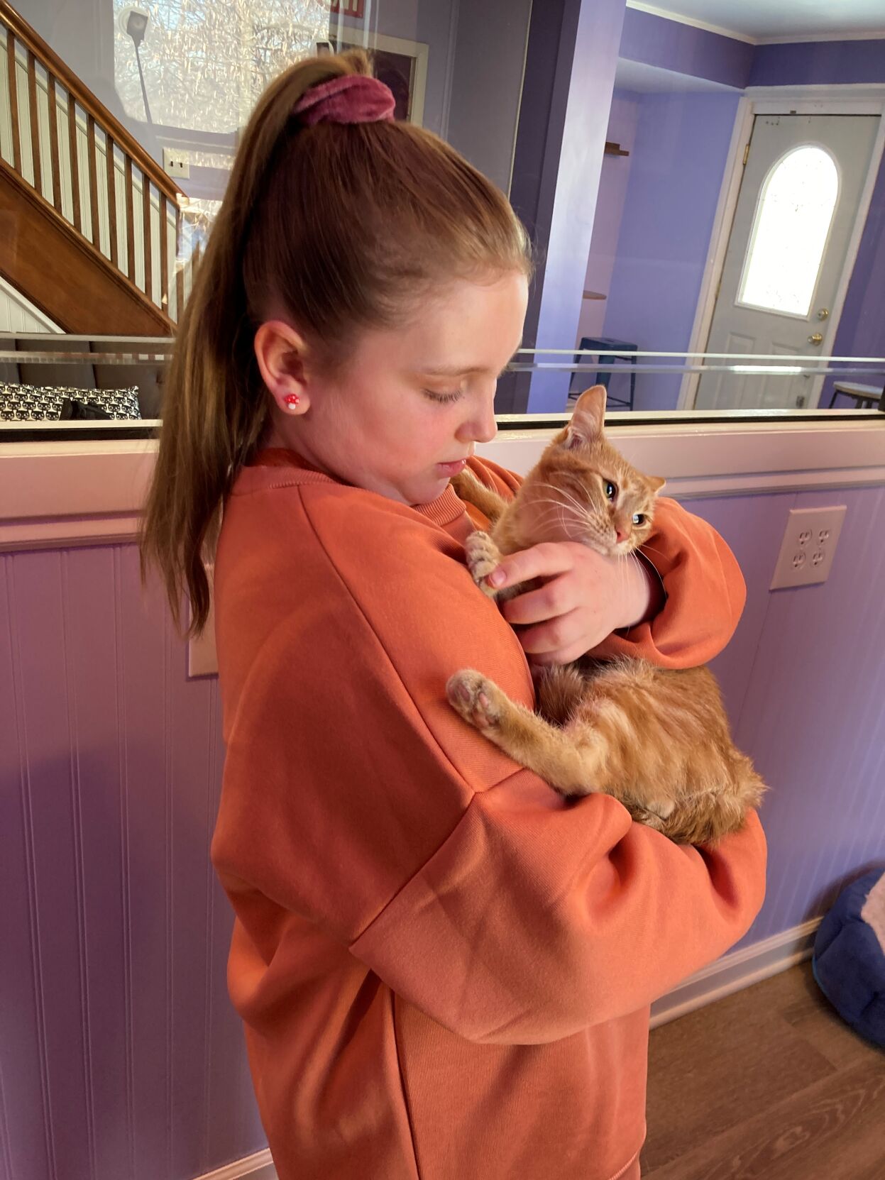 MeowTown cat café in Alton is finding forever homes for cats