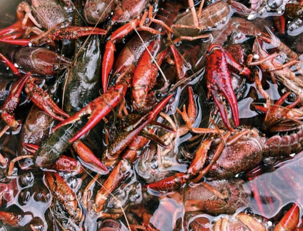The best food and drink events in St. Louis: April 12-14