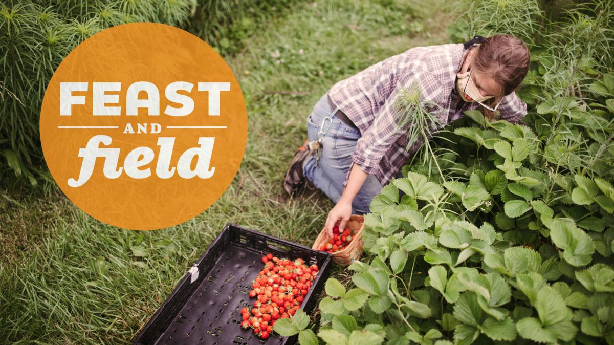 We're growing! Our new sister publication, Feast and Field, will ...