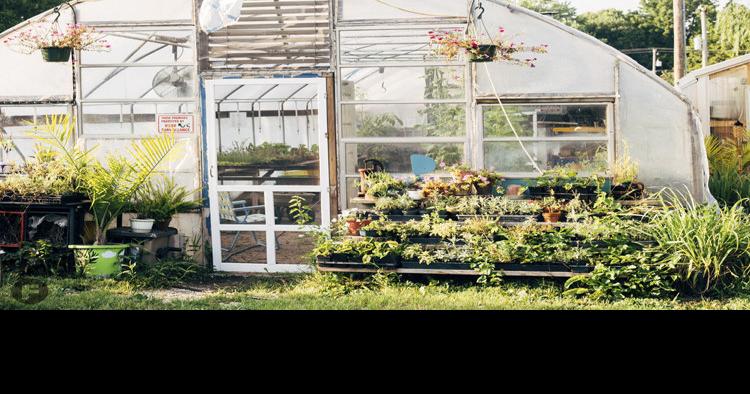 In Springfield, Urban Roots Farm Aims to Create Program Supporting ...