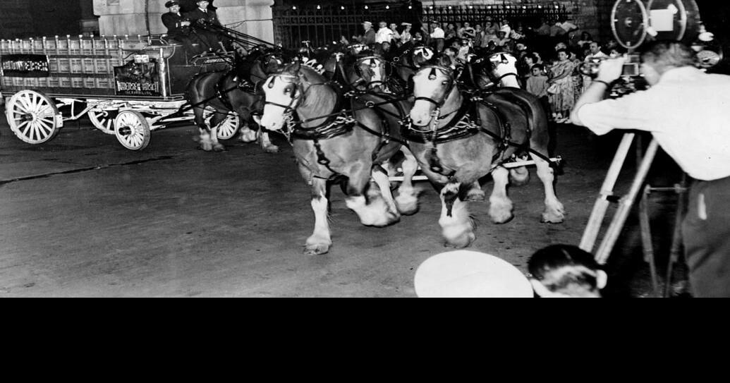 The history of St. Louis food culture