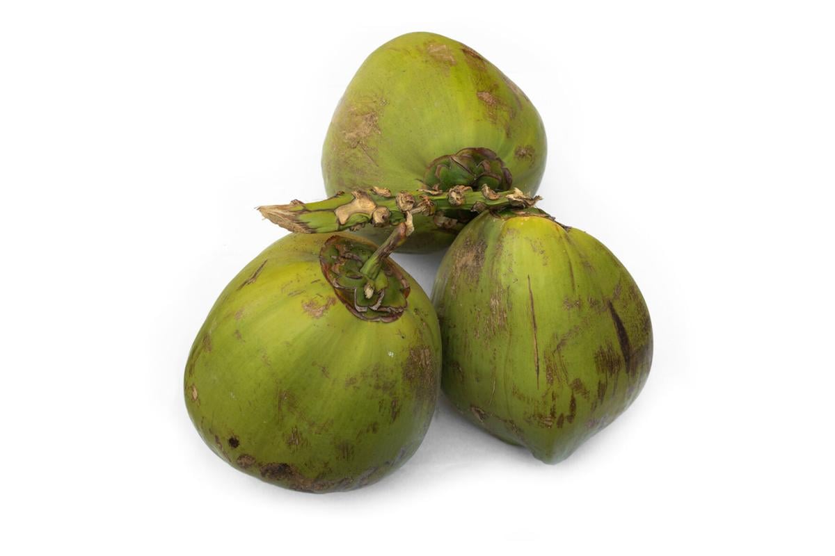coconut fruit type