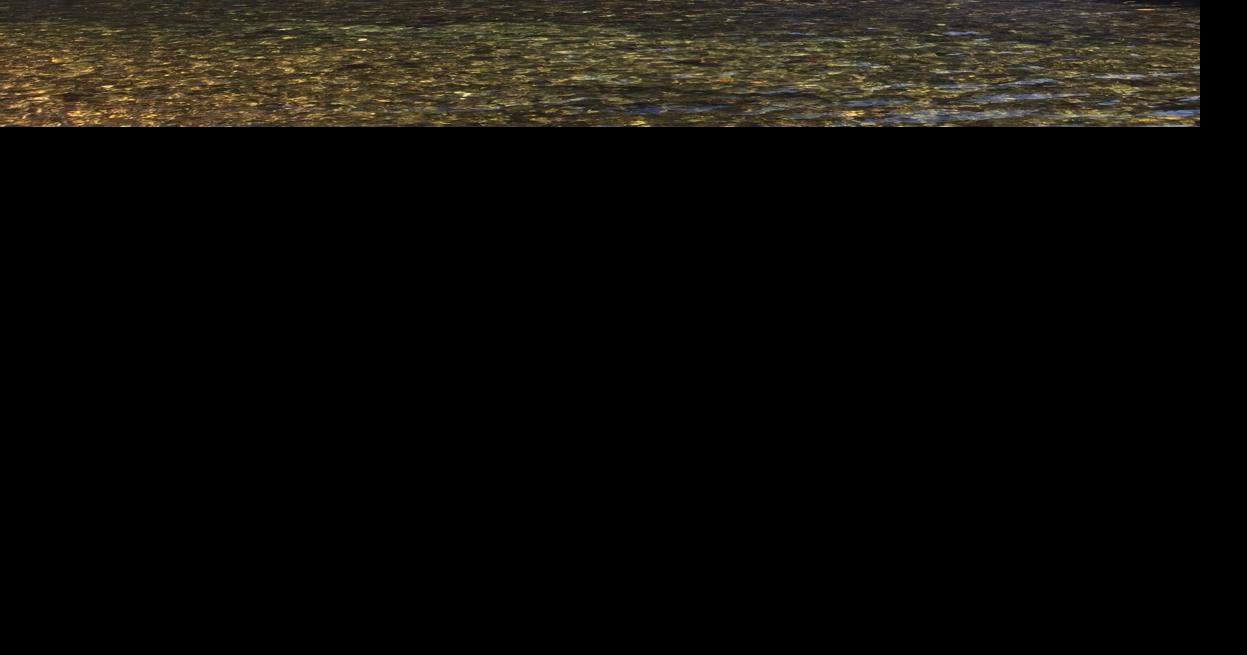 Rockbridge Rainbow Trout and Game Ranch