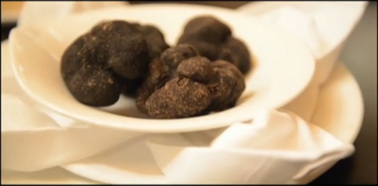 From Italy to St. Louis in 48 Hours, Chef's Fresh Truffles in High Demand