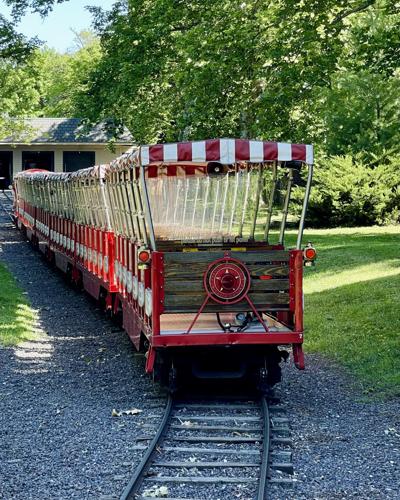 5 activities & dining destinations kids & parents will love