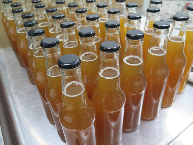 The Brewkery's Lucky Elixir Kombucha Will Debut This Month