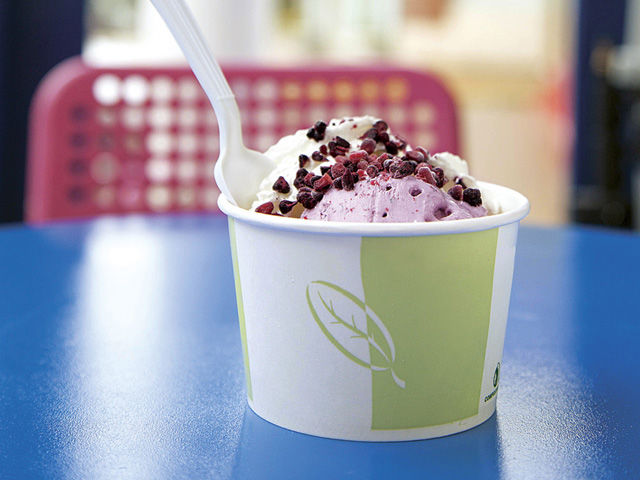 Ices Plain & Fancy Now Available at Grant's Farm