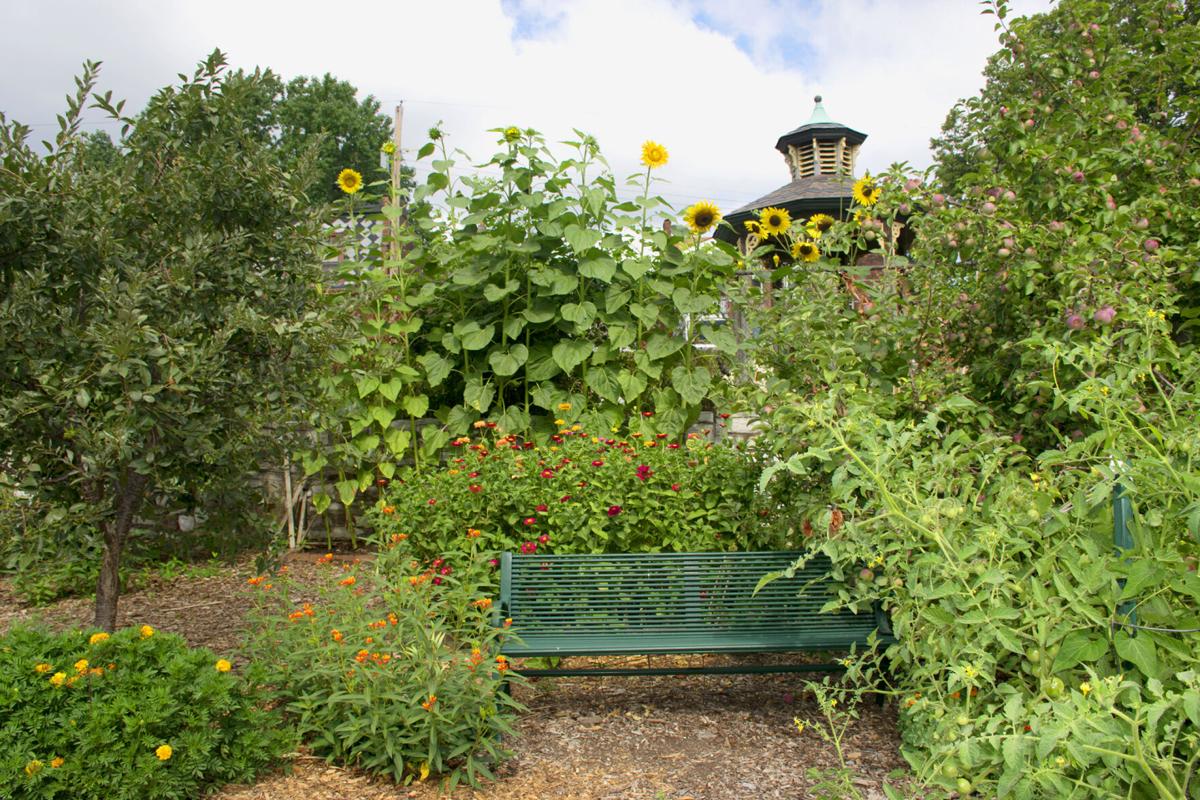 Developing fresh foodways in the city through community gardens