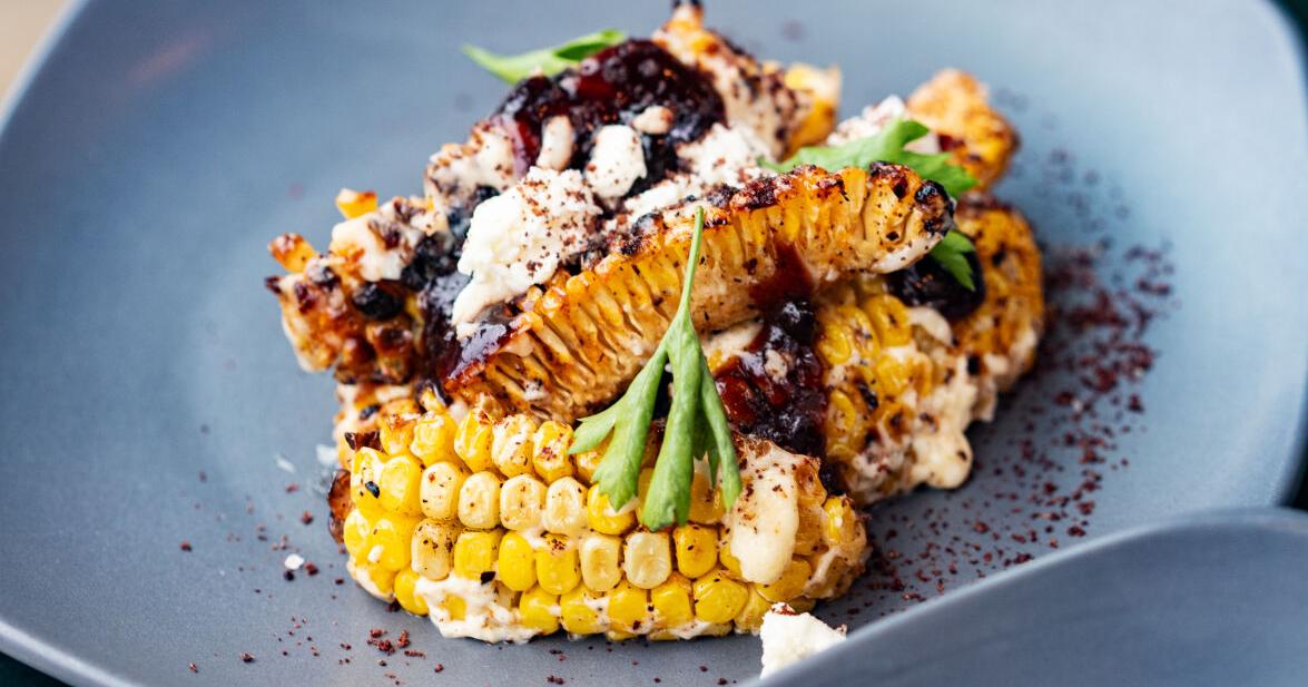 Nexus dishes IG vert