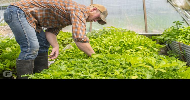 Green Thicket Farm Caleb Howerton