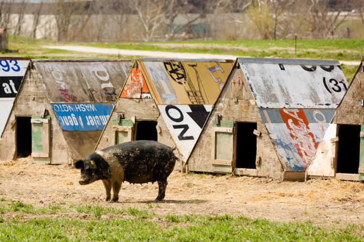 Spotlight: Geisert Farms