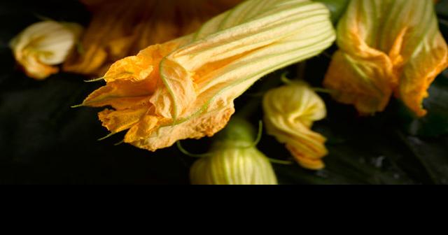 3 Ways to Use Squash Blossoms This Summer