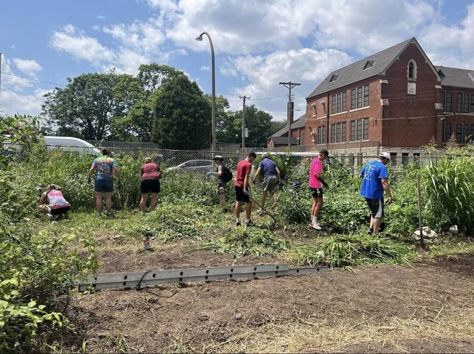 New Roots Urban Farm looks to recover after devastating fire