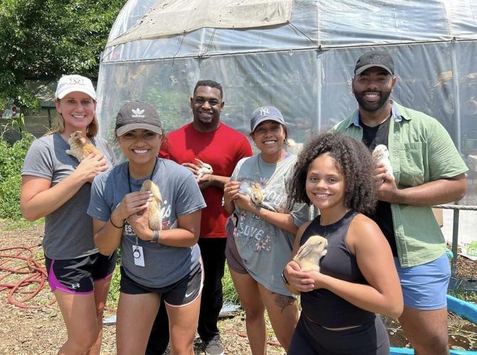 New Roots Urban Farm looks to recover after devastating fire