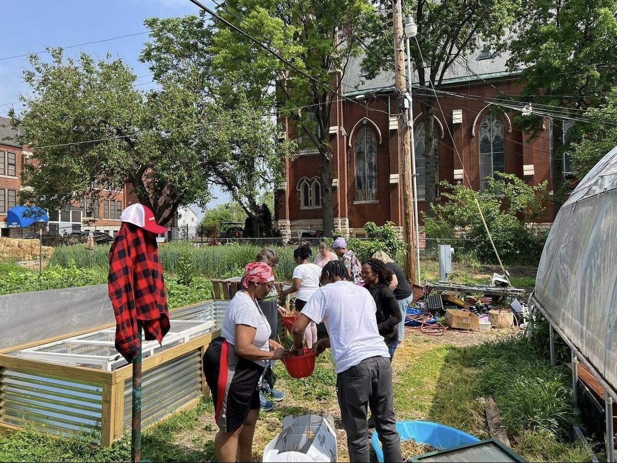 New Roots Urban Farm looks to recover after devastating fire