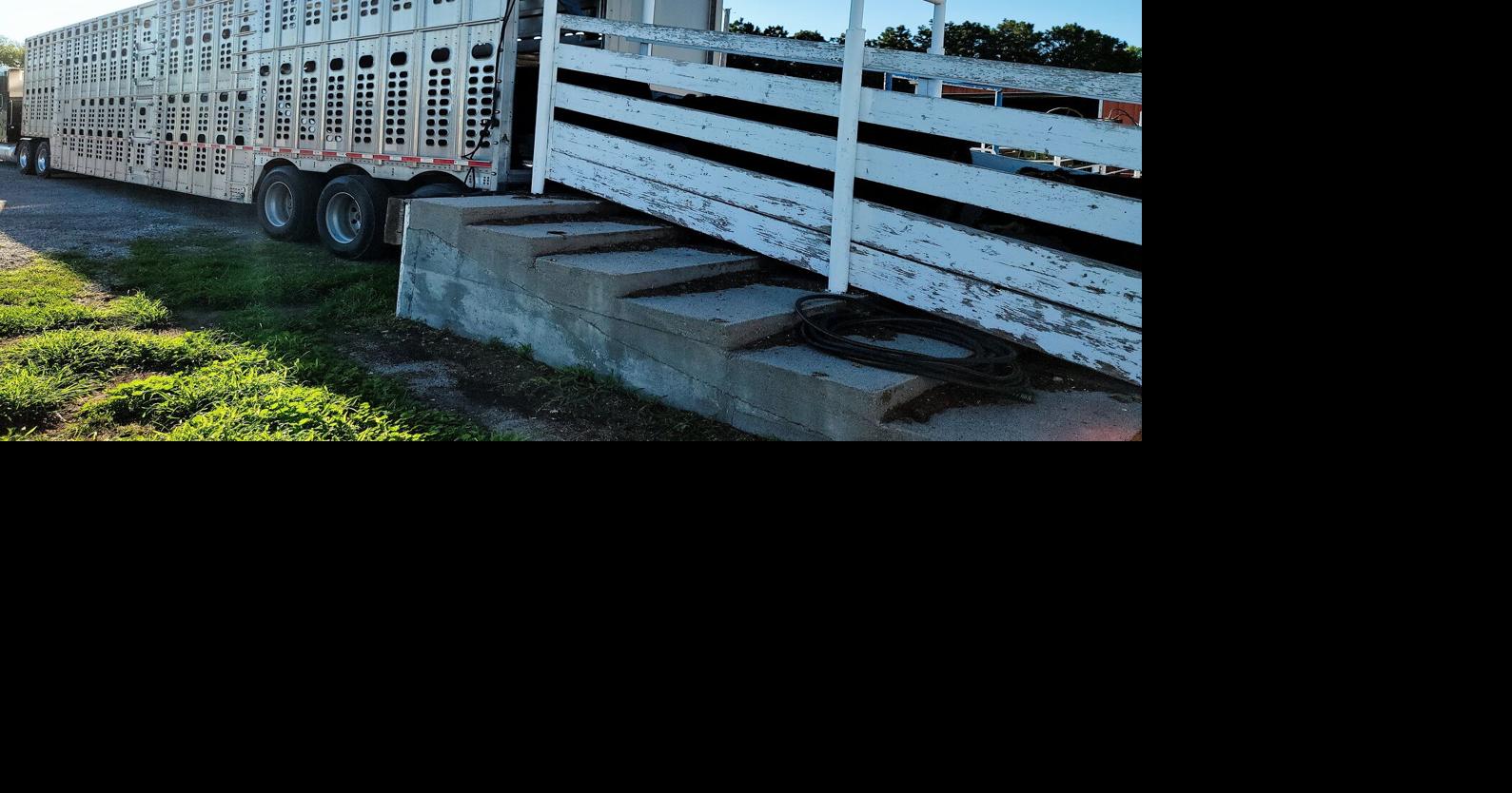 NCBA Statement on USDA Final Traceability Rule | Industry News ...