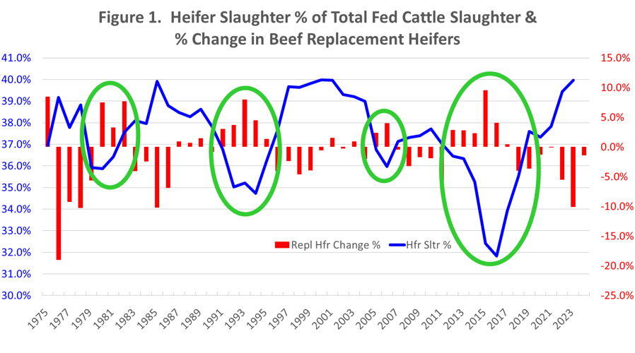 Two Sides of the Heifer Coin | Industry News | feedlotmagazine.com