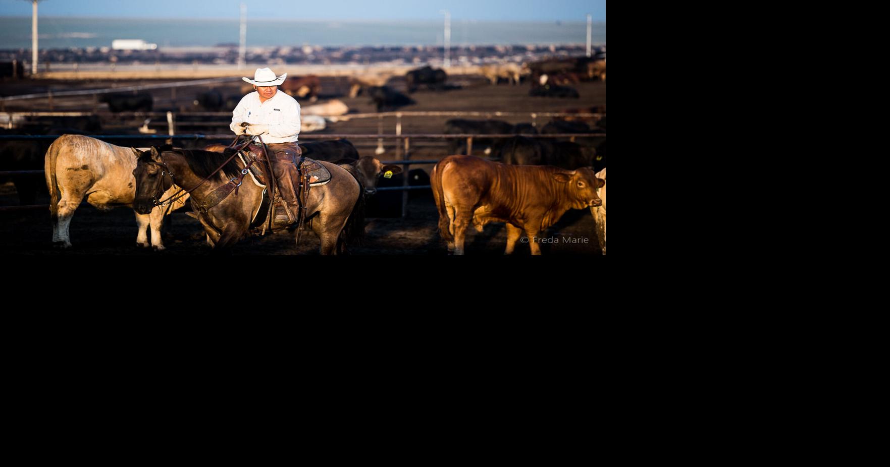 Send Everyone Home Safe | Management | feedlotmagazine.com