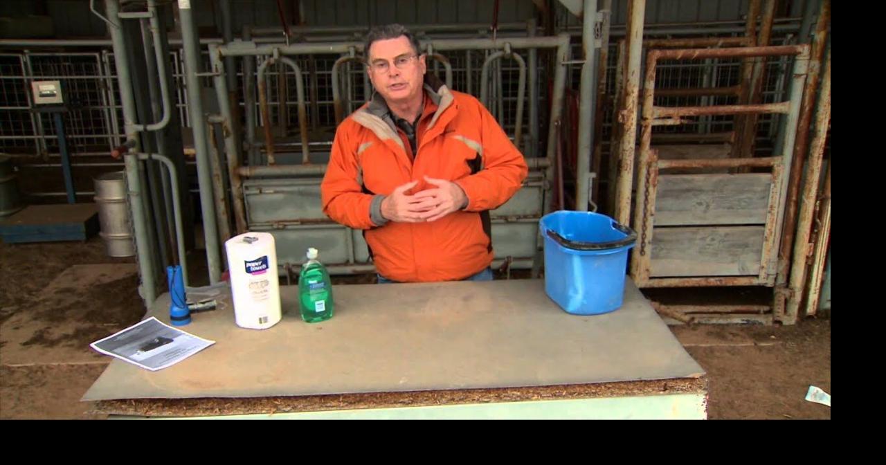 Cow-Calf Corner: Calving Kit | News | feedlotmagazine.com