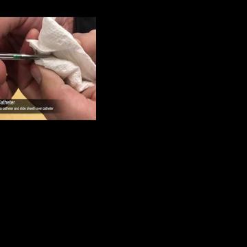 Preparing and Handling Catheters for Artificial Insemination of Cattle ...