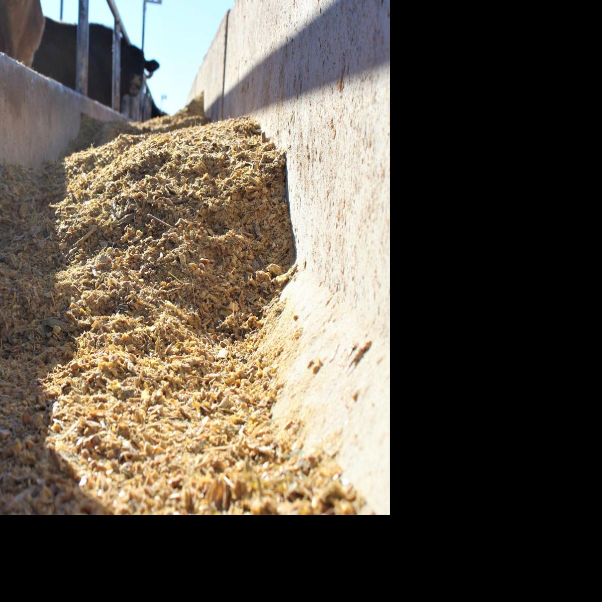 Feedlot Special | feedlotmagazine.com