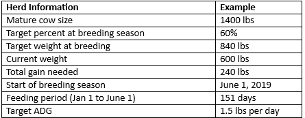 Targeted Feeding for Heifer Development | News | feedlotmagazine.com