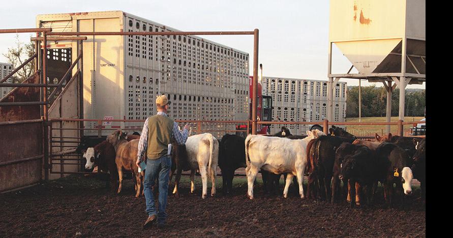 Safety Training Helps Retain Feedlot Employees | Feedlot Special ...