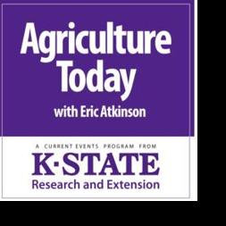 When to Assist with the Calving Process – the Three Stages of ...