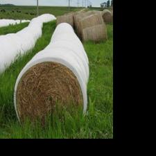 Hay Sampling | Management | feedlotmagazine.com