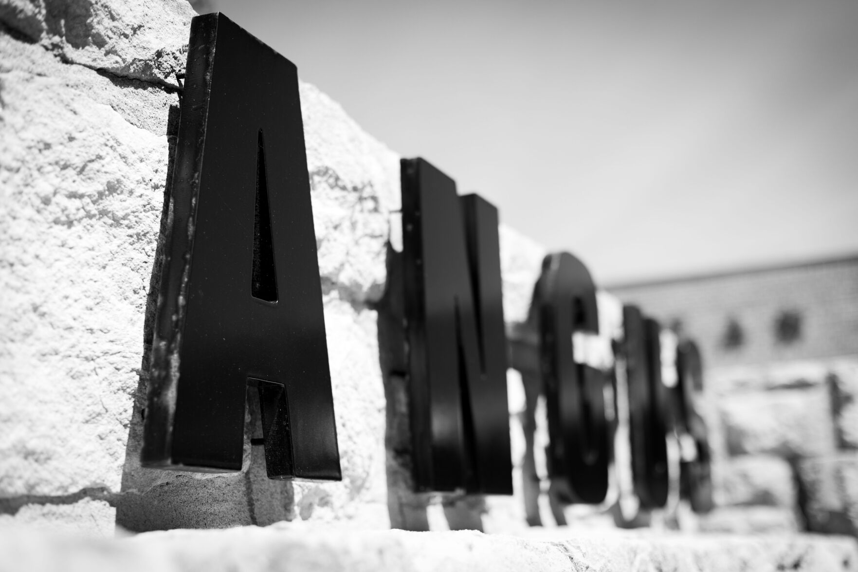 New Leadership Elected to the American Angus Association® Board of ...