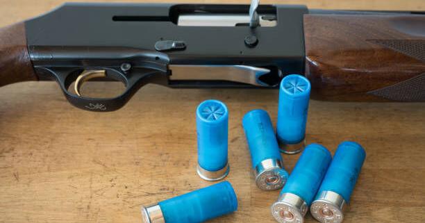 Birdshot in Beef: The Hidden Defect | Beef News | feedlotmagazine.com