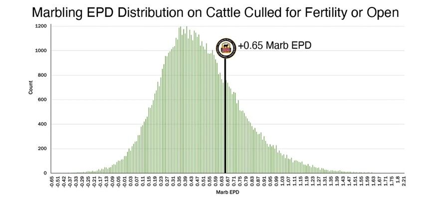 Marbling, Feet and Fertility: Are They Related? | Cow/Calf Corner ...