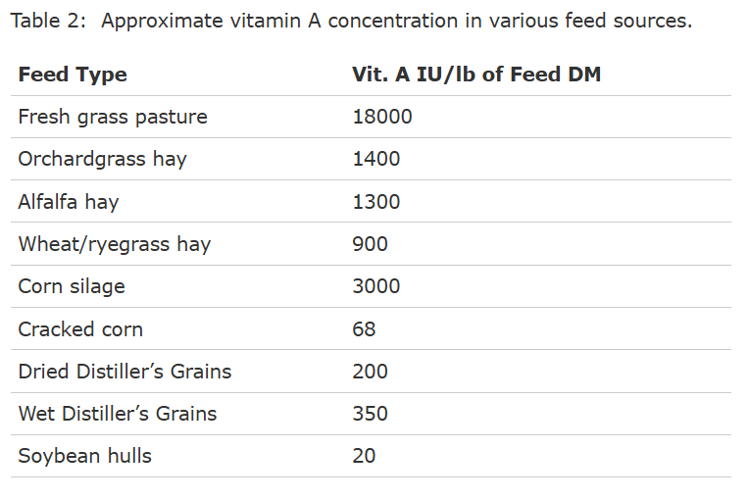 Vitamin A Matters: Supporting Reproduction, Growth, and Immunity in ...