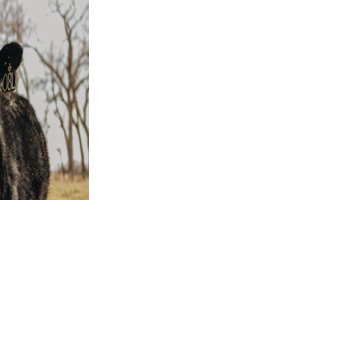 Winter Pasture Report: How Winter Moisture Shapes Spring Grazing ...
