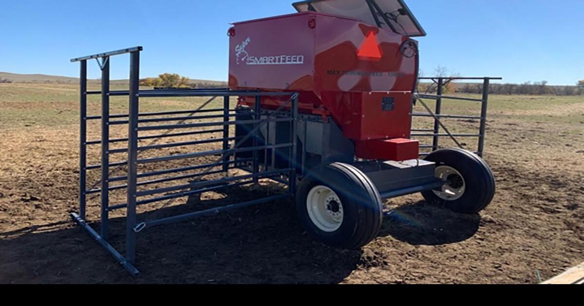 Heifer Development With Precision Supplementation | Cow/Calf Corner ...