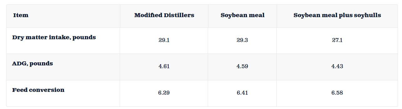 Comparing Soybean Meal to Distillers Grains for Finishing Cattle ...