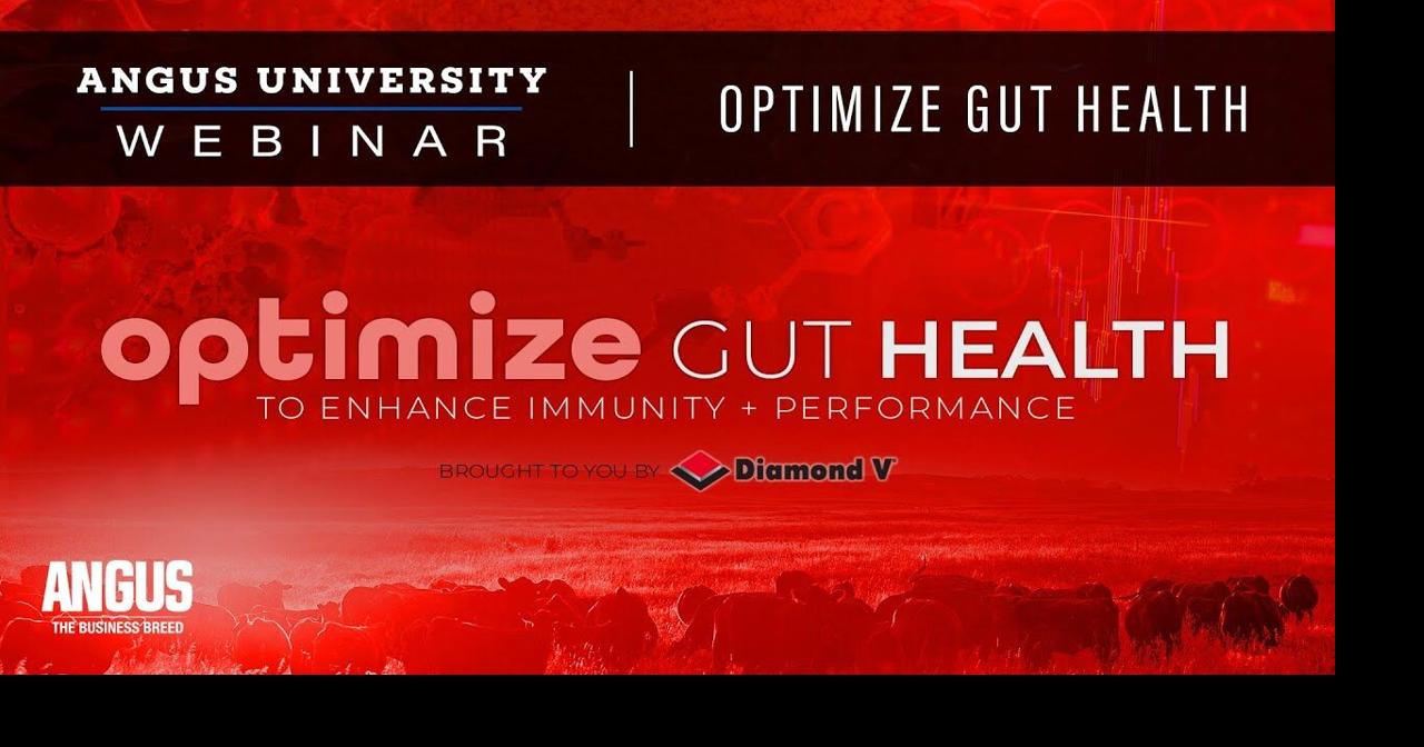 Optimize Gut Health | WEBINAR - September 21st, 2021 - TREVOR TUELL ...