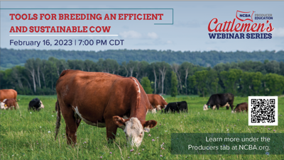 Tools for Breeding an Efficient and Sustainable Cow | Cow/Calf Corner ...
