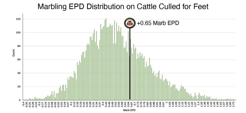 Marbling, Feet and Fertility: Are They Related? | Cow/Calf Corner ...