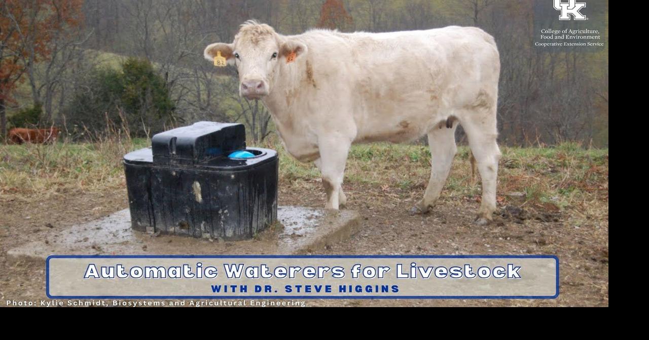 Automatic Waterers for Livestock | Multimedia | feedlotmagazine.com