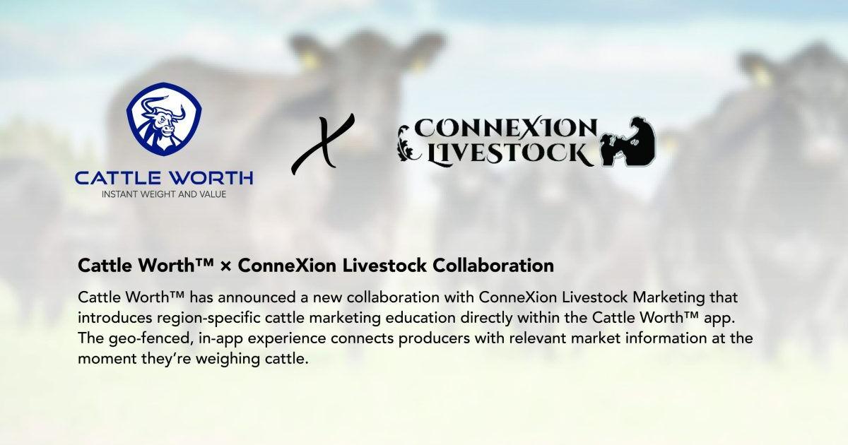 Cattle Worth™™ Teams with ConneXion Livestock to Empower Producers with ...