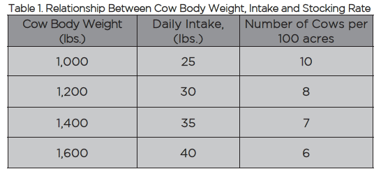 Why Cow Body Size Should Be Tracked | Cow/Calf Corner | feedlotmagazine.com