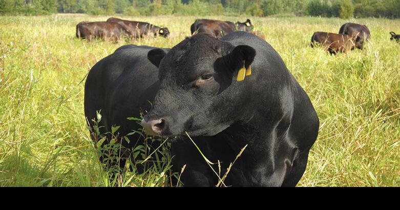 Test Your Knowledge on Trichomoniasis Are you up to speed on trich ...