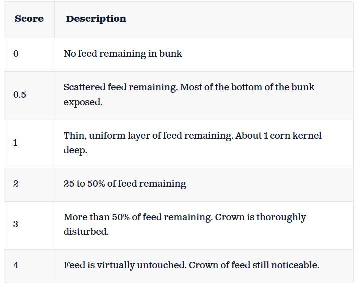 Feed Bunk Management | Feedlot Special | feedlotmagazine.com