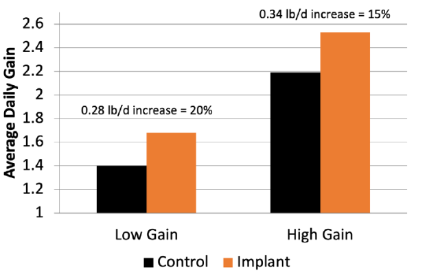 Implants and Their Use in Beef Cattle Production | Feedlot Special ...