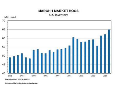 US Hog Numbers Continue Higher | Marketing | feedlotmagazine.com