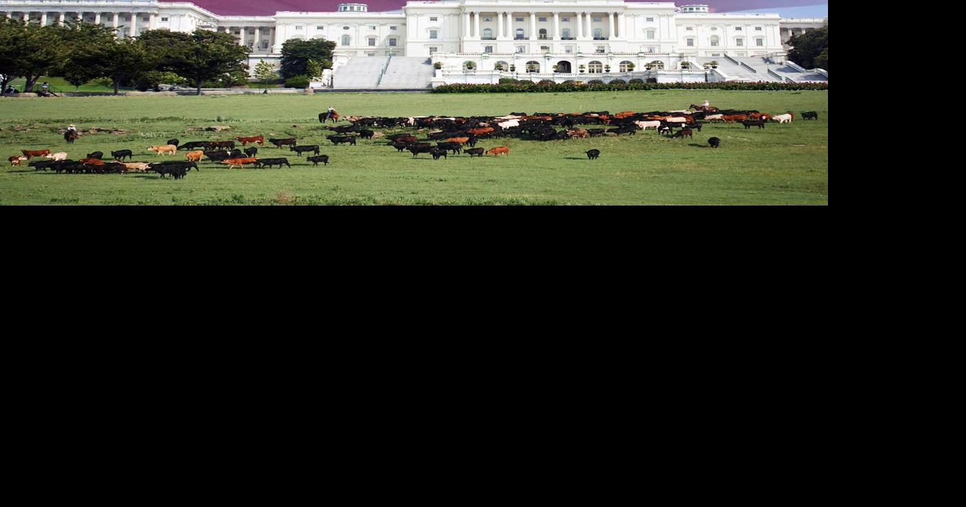 Beltway Beef Podcast: Commentary on the Regional Triggers Report ...