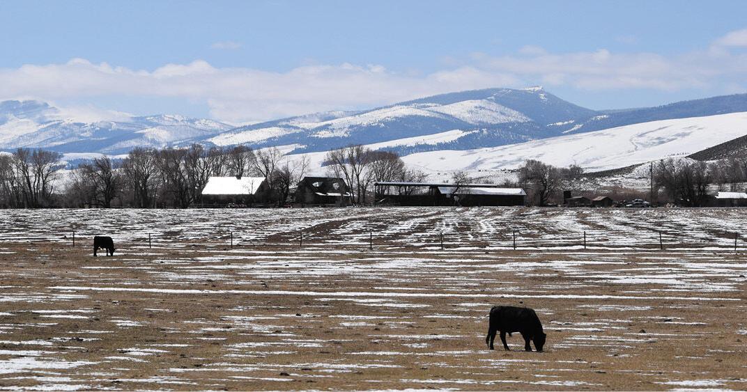 10 Tips To Bulletproof Your Beef Operation | Management ...