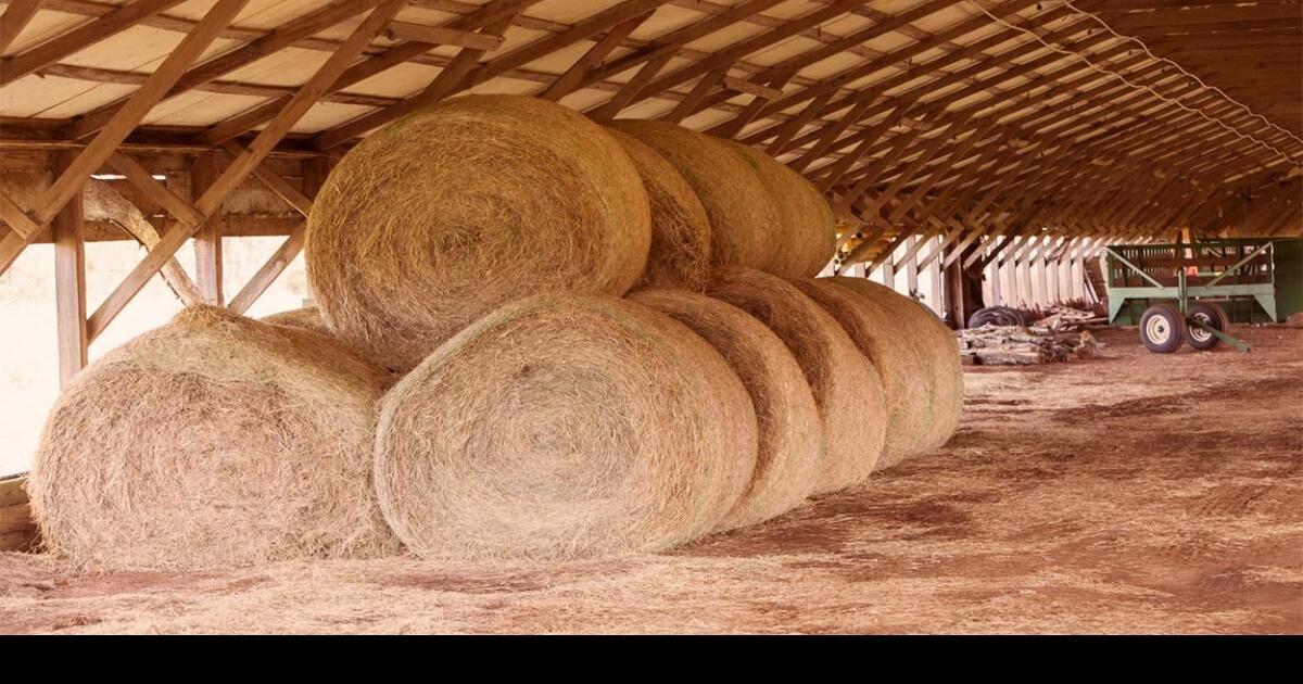 Benefits of Proper Hay Storage | Management | feedlotmagazine.com